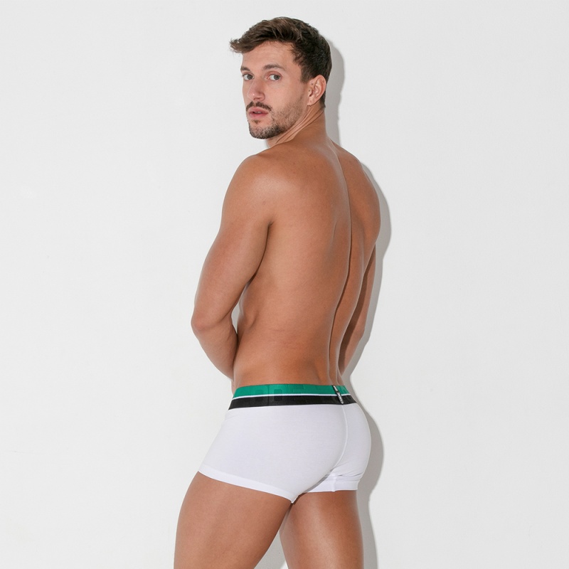 Palm tree trunk white | Code 22